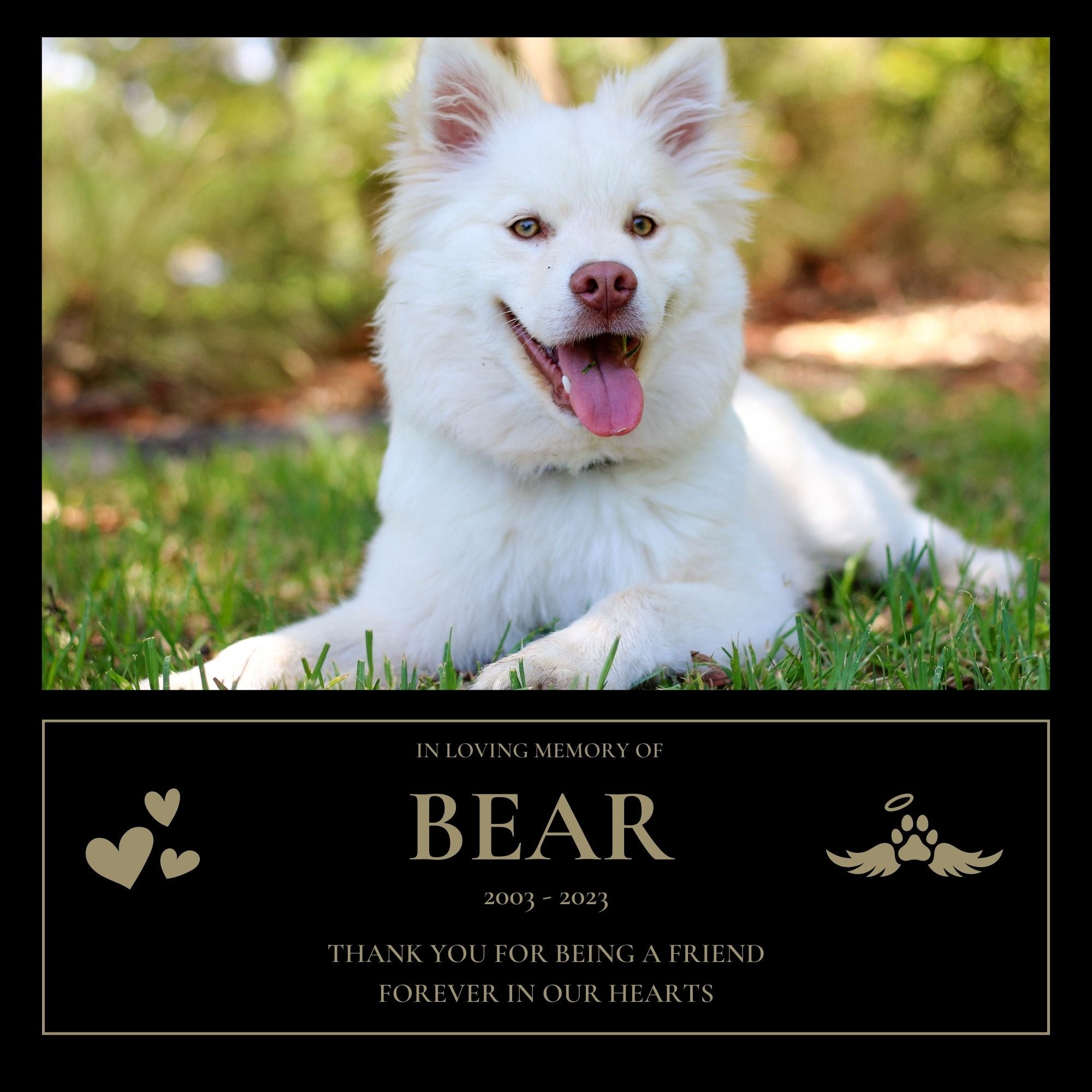 Pet Memorial | Photo Mounting Service | Christchurch, New Zealand ...